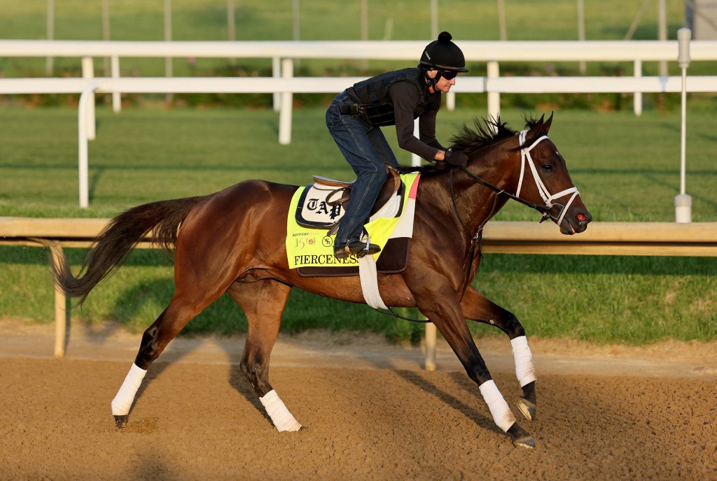 Best Kentucky Derby Bets for Beginners in 2026